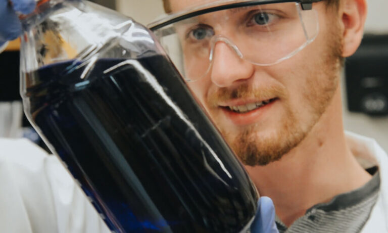 I Am The Bear | Mercer University Admissions